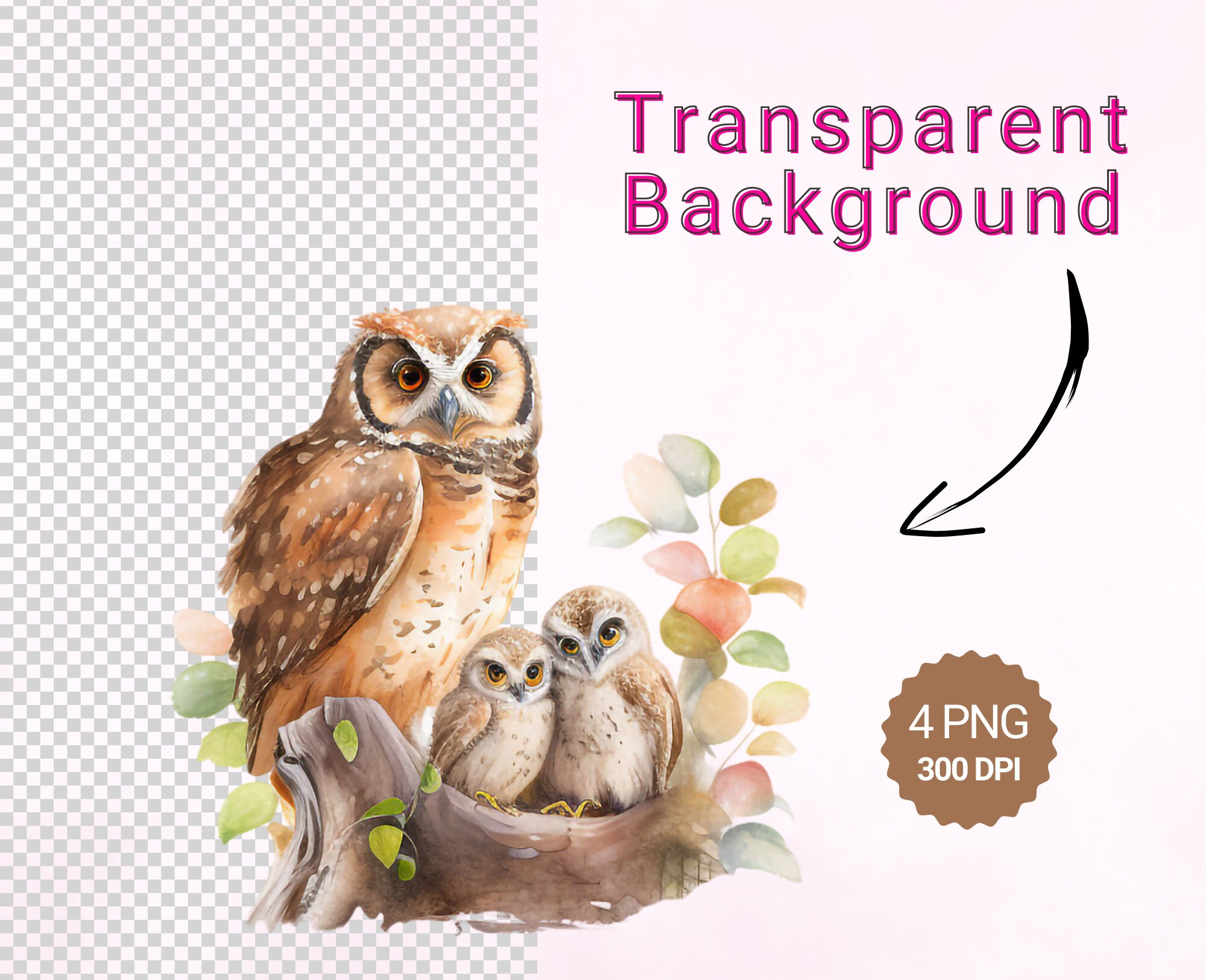 Watercolor Owl Clipart Bundle Owl Png Fantasy Owl - Etsy