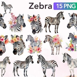 70 Png Watercolor Animals Clipart Bundle, Watercolor Floral Zebra ...