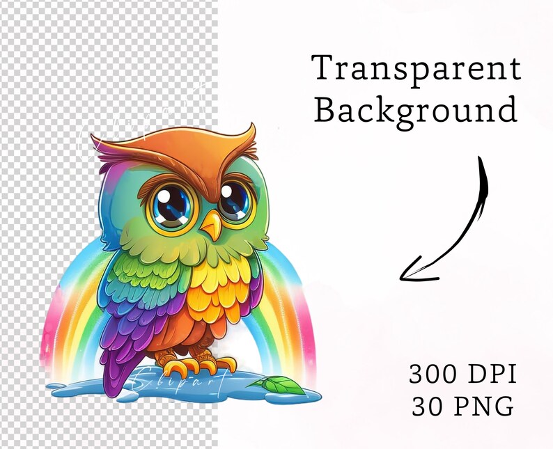 30 Png Colorful Cute Owl Clipart PNG Bright Owl Clipart PNG - Etsy