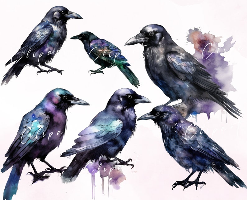 Mystical Raven Clipart Set, Crow Watercolor Clipart, Crow Watercolor ...