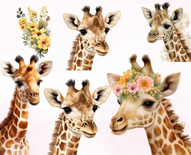 70 Png Watercolor Animals Clipart Bundle Watercolor Floral - Etsy