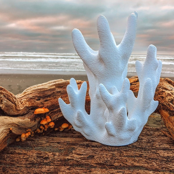 Beach Lighting - Etsy