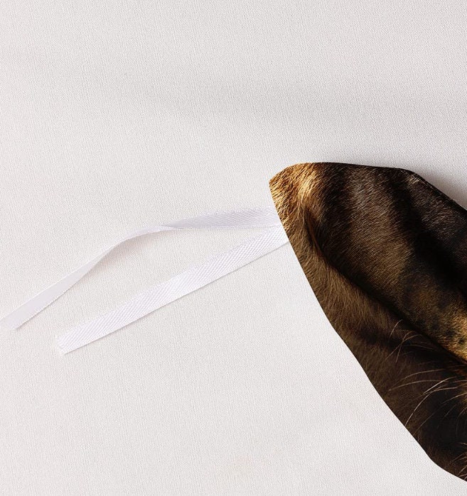 Indiana-Jones-and-the-Dial-of-Destiny Bedding Duvet Cover Set sold by ...