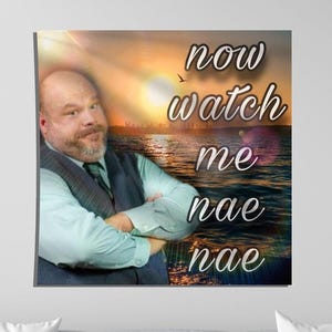 Bertram Funny Meme Tapestry / Wall Hanging Aesthetic Art / Poster ...