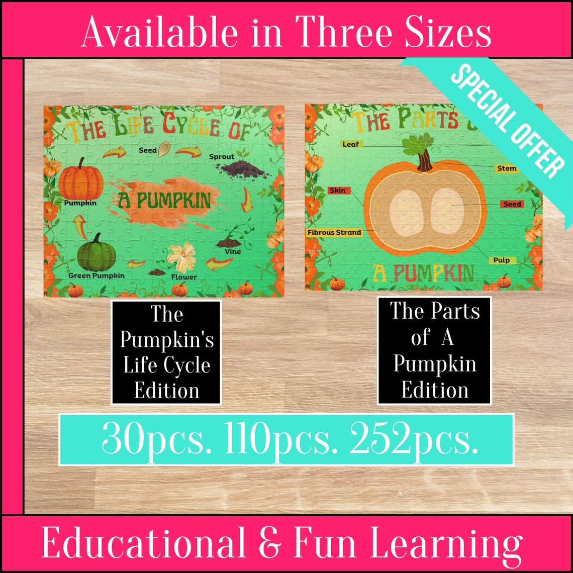 Life Cycle Pumpkin Educational Jigsaw Puzzle Gift Set Game - Etsy