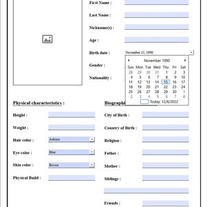 Basic Character Creation Form for Writers - Etsy