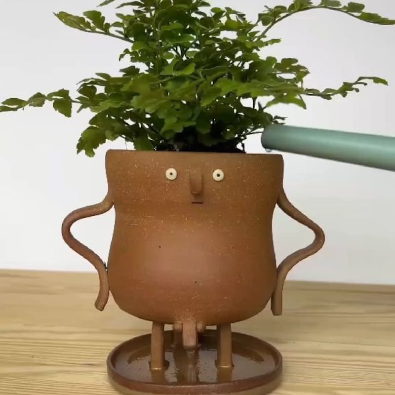 Funny Plant Pot - Etsy