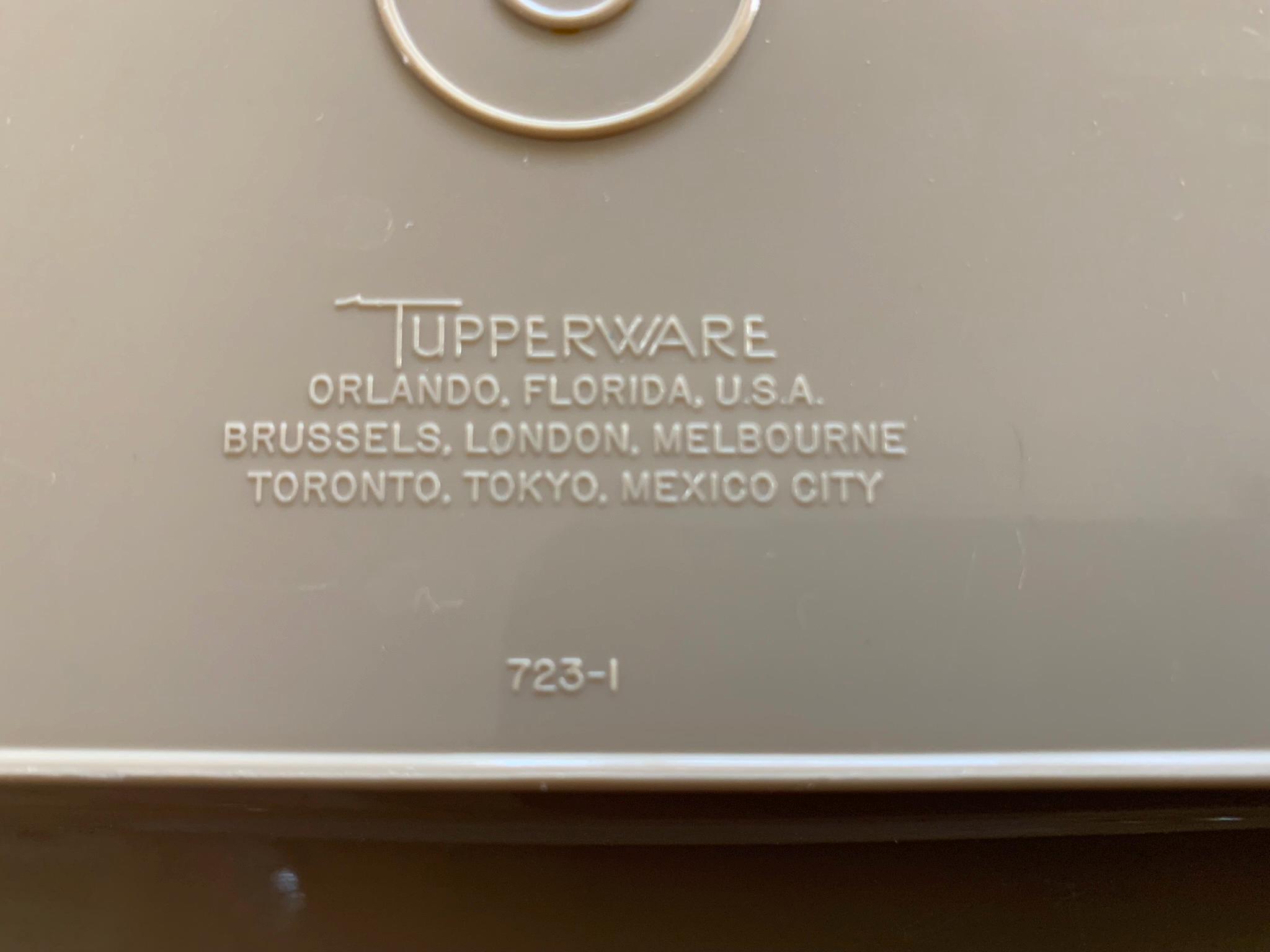 Tupperware Deviled Egg Container (tan) - Etsy