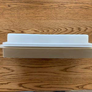 Tupperware Deviled Egg Container (tan) - Etsy