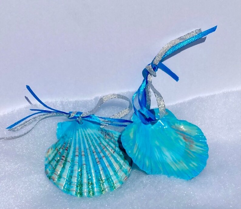 REAL Seashells Island Blue Set of 4 - Etsy