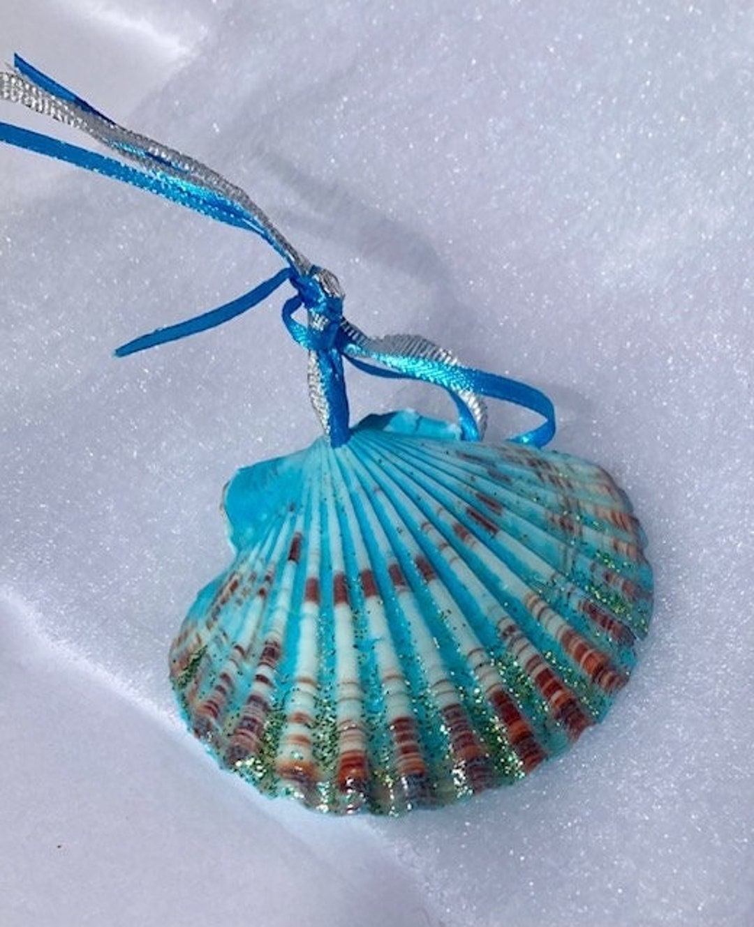 REAL Seashells Island Blue Set of 4 - Etsy