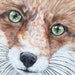 Fox Face Acrylic Painting on Art Paper 11” X 14” Not Framed, Wildlife ...