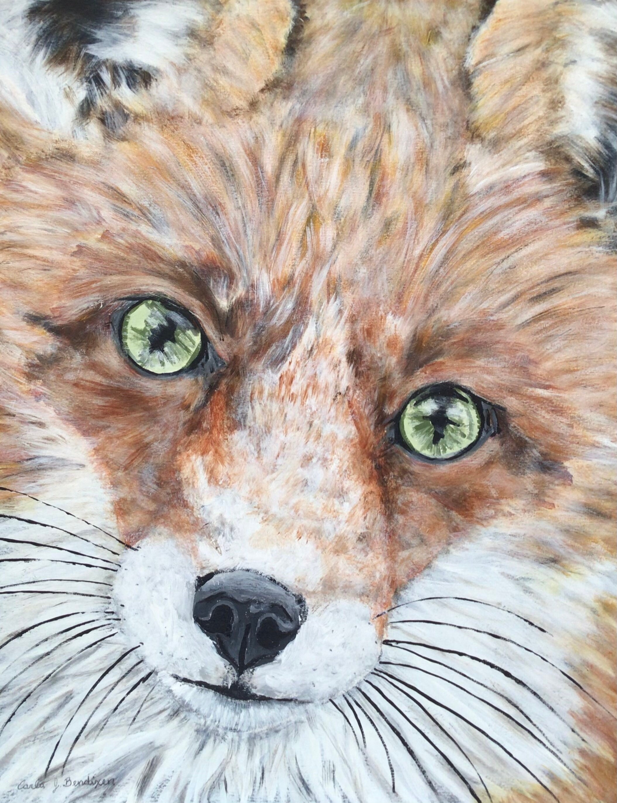 Fox Face Acrylic Painting on Art Paper 11” X 14” Not Framed, Wildlife ...
