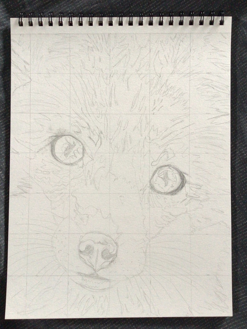 Fox Face Acrylic Painting on Art Paper 11” X 14” Not Framed, Wildlife ...