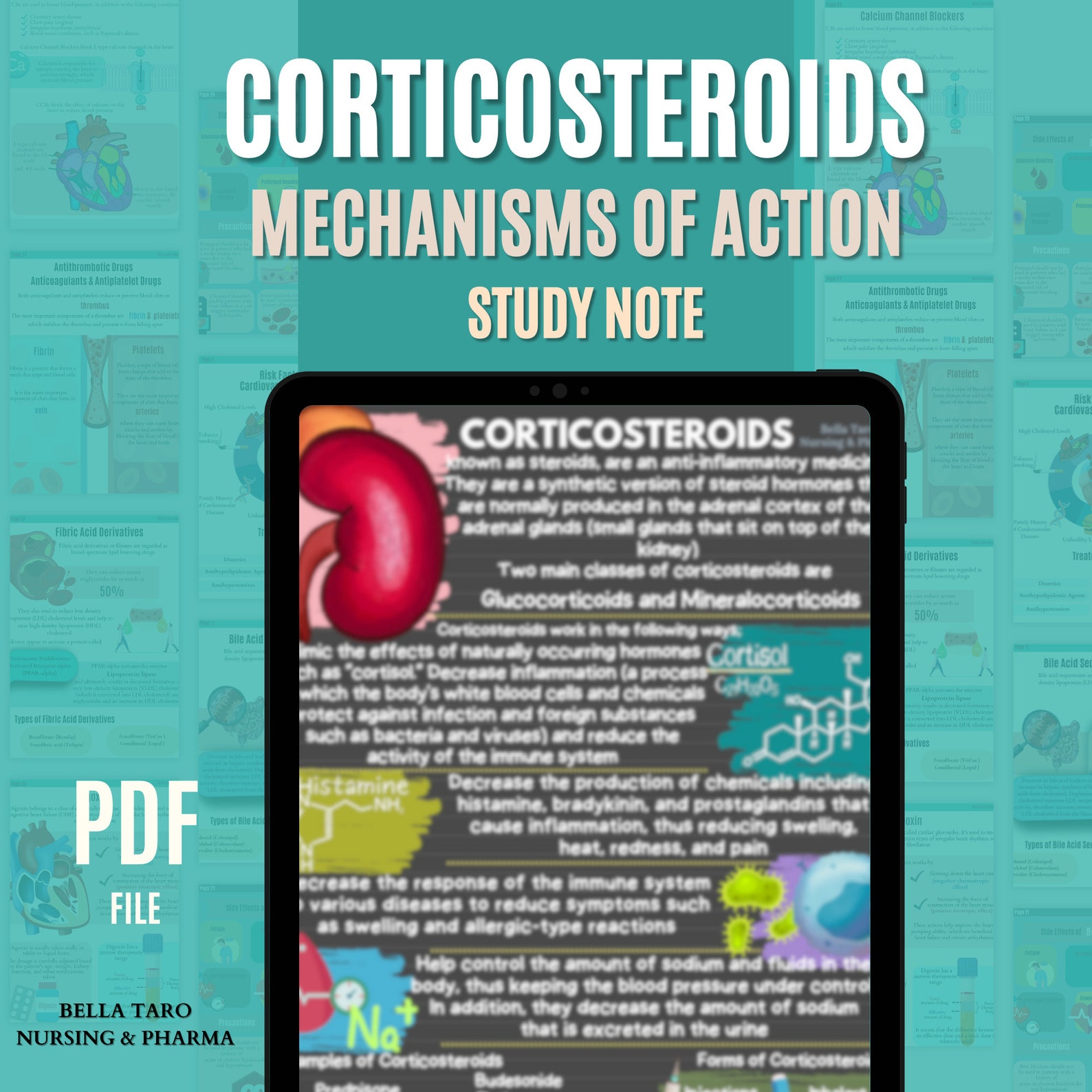 Steroid Pharmacology Quick Sheet: Corticosteroids Study Guide (PDF) - Etsy