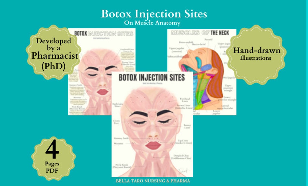 Botox Injection Sites on Muscle Anatomy | Hand-drawn Botox Dermal ...