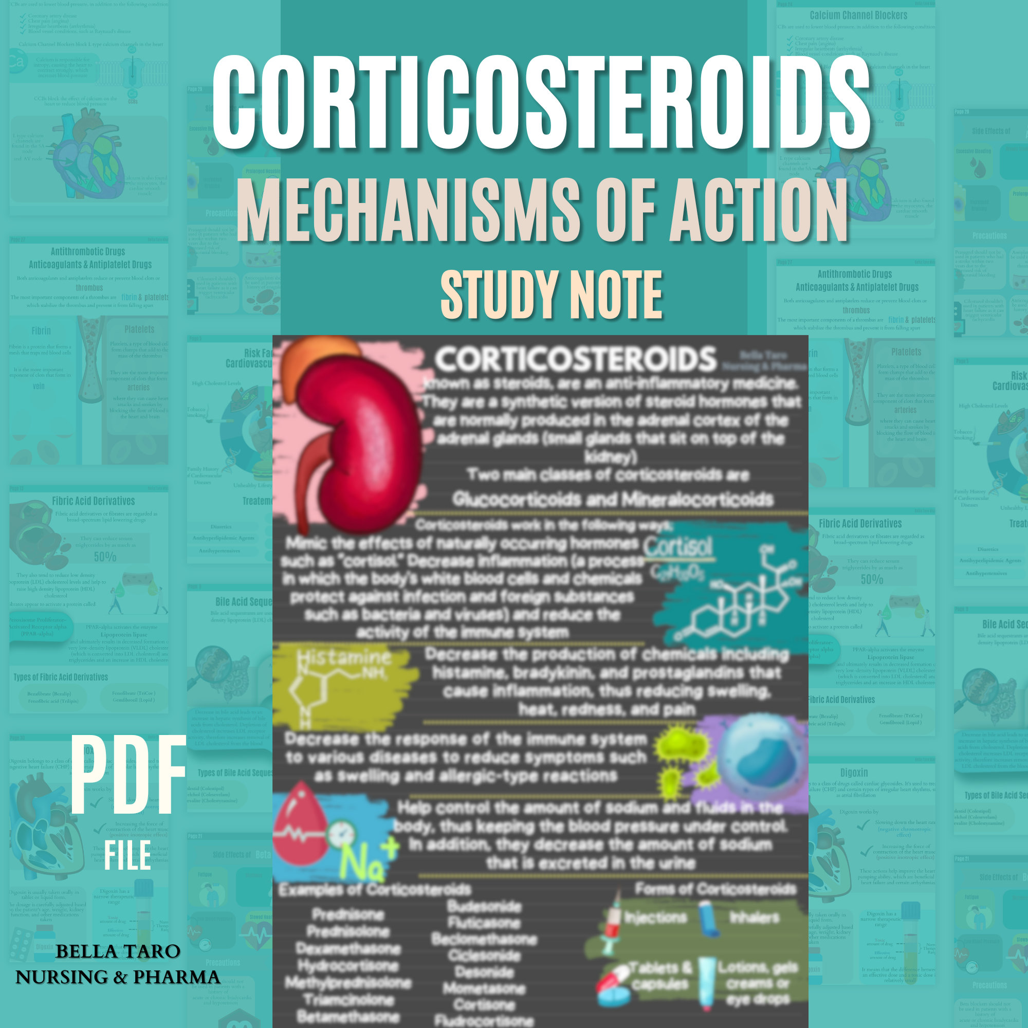 Steroid Pharmacology Quick Sheet: Corticosteroids Study Guide (PDF) - Etsy