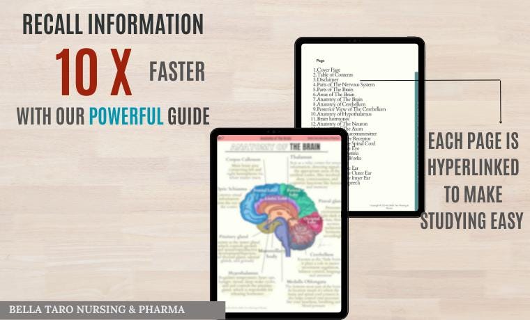 Nervous System & Brain Anatomy Nursing Notes, Hand-drawn Nursing ...