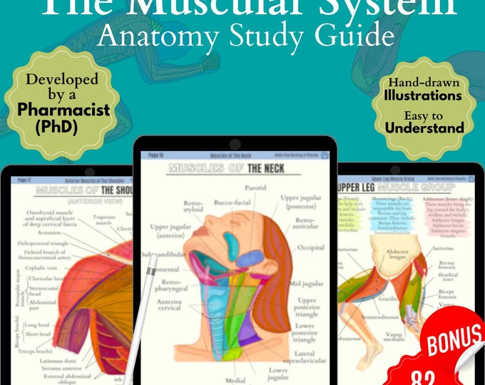 Printable Muscle Anatomy Charts 600+ Muscles Study Guide Full Body ...