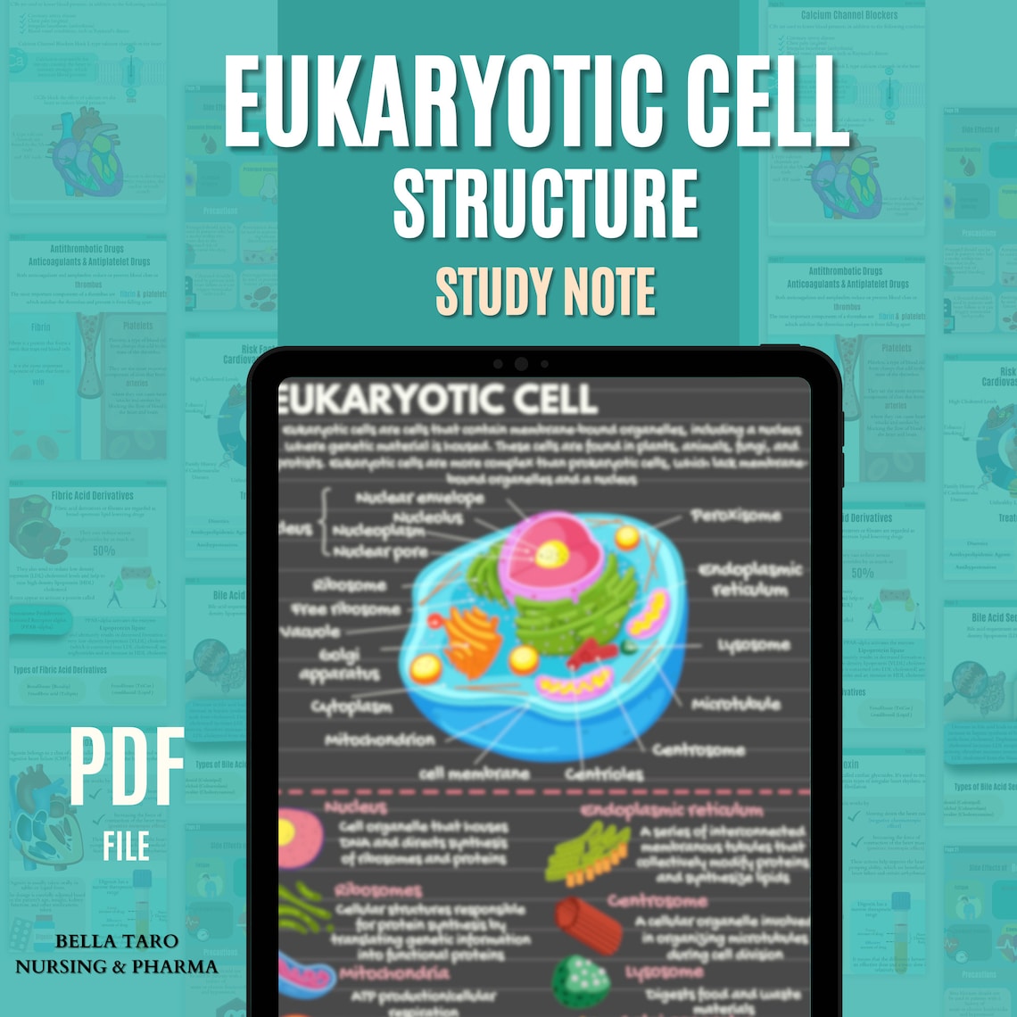 Cell Organelles Study Note | Biology Notes Cheat Sheet | Cell Anatomy ...