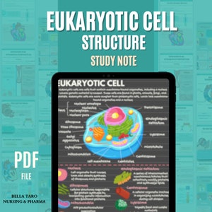 Cell Organelles Study Note | Biology Notes Cheat Sheet | Cell Anatomy ...