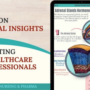 Endocrine System Bundle 50 Page | Pharmacy Nursing Study Guide ...