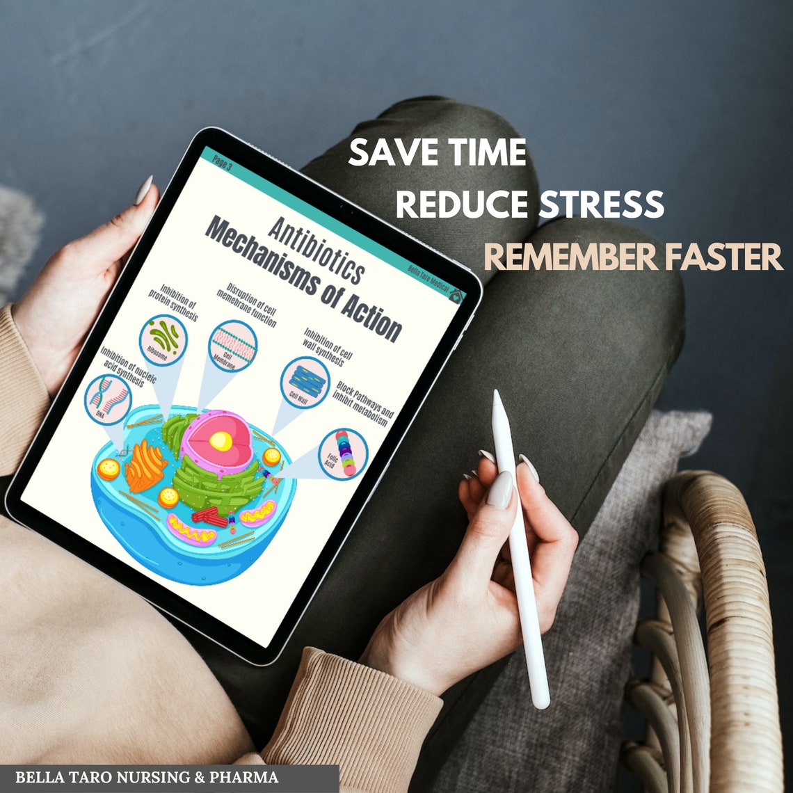 Antibiotics Pharmacology Bundle | Antibiotics Cheat Sheets | Nursing ...