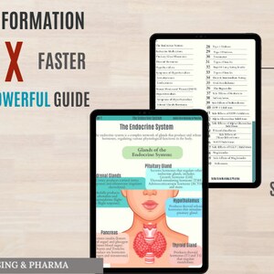 Endocrine System Bundle 50 Page | Pharmacy Nursing Study Guide ...