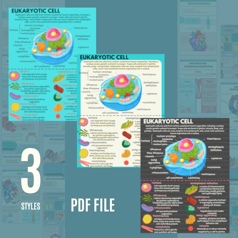 Cell Organelles Study Note | Biology Notes Cheat Sheet | Cell Anatomy ...