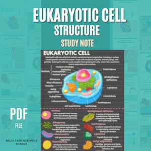 Cell Organelles Study Note | Biology Notes Cheat Sheet | Cell Anatomy ...