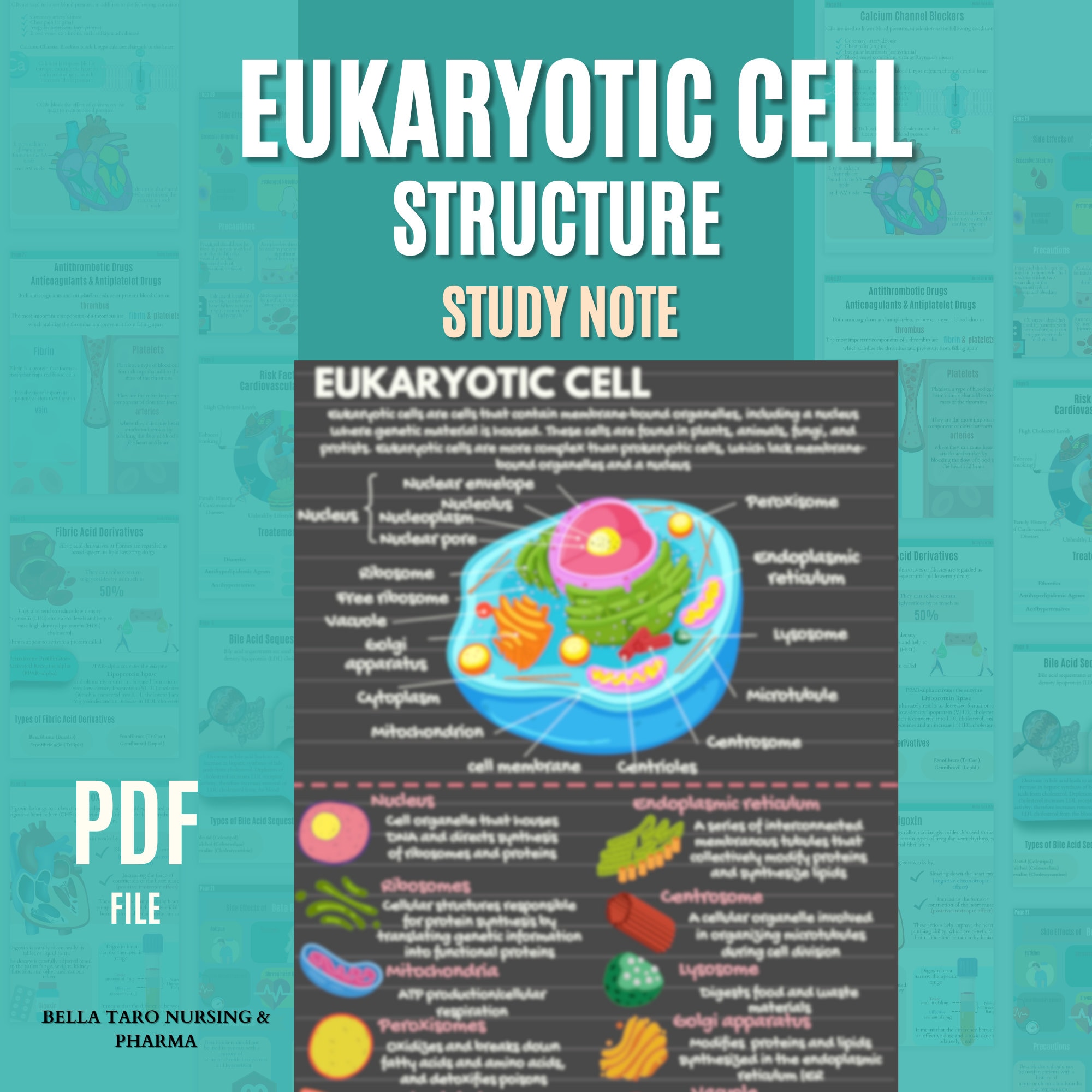 Cell Organelles Study Note | Biology Notes Cheat Sheet | Cell Anatomy ...