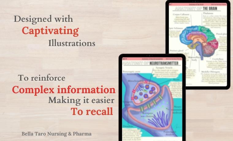 Nervous System & Brain Anatomy Nursing Notes, Hand-drawn Nursing ...