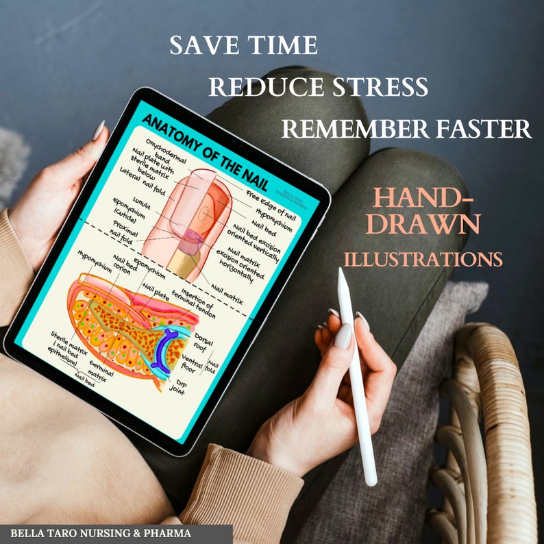 Anatomy of Nail Cheat Sheet | Hand-drawn Nail Anatomy Study Note | Nail ...