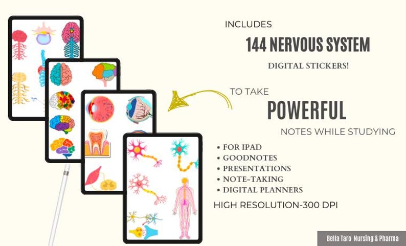 Nervous System & Brain Anatomy Nursing Notes, Hand-drawn Nursing ...