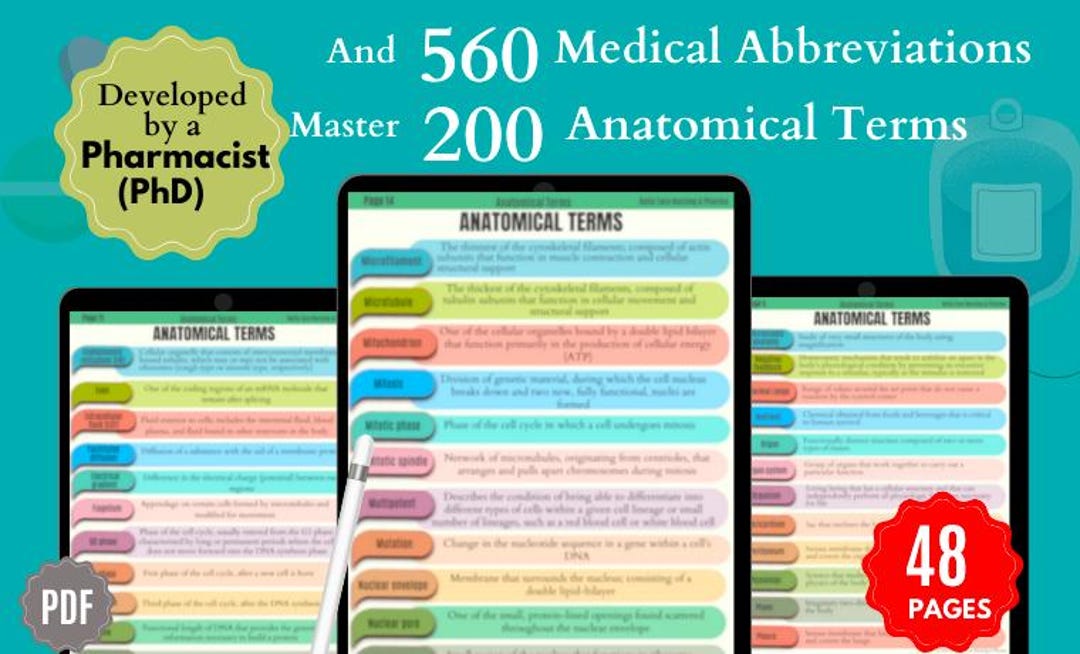 Medical Terminology Guide: 200 Anatomical Terms & 560 Abbreviations ...