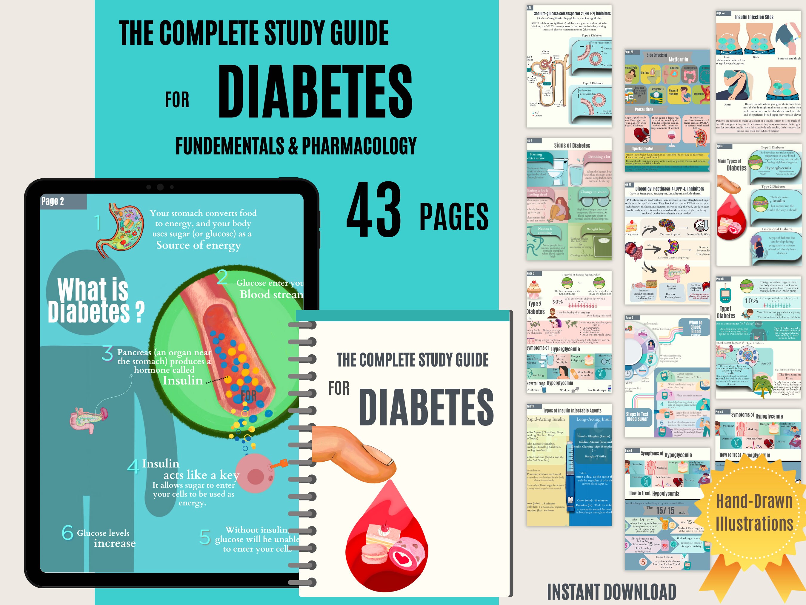 Diabetes Mellitus Study Guide Insulin Dosing Pharmacology Endocrine ...