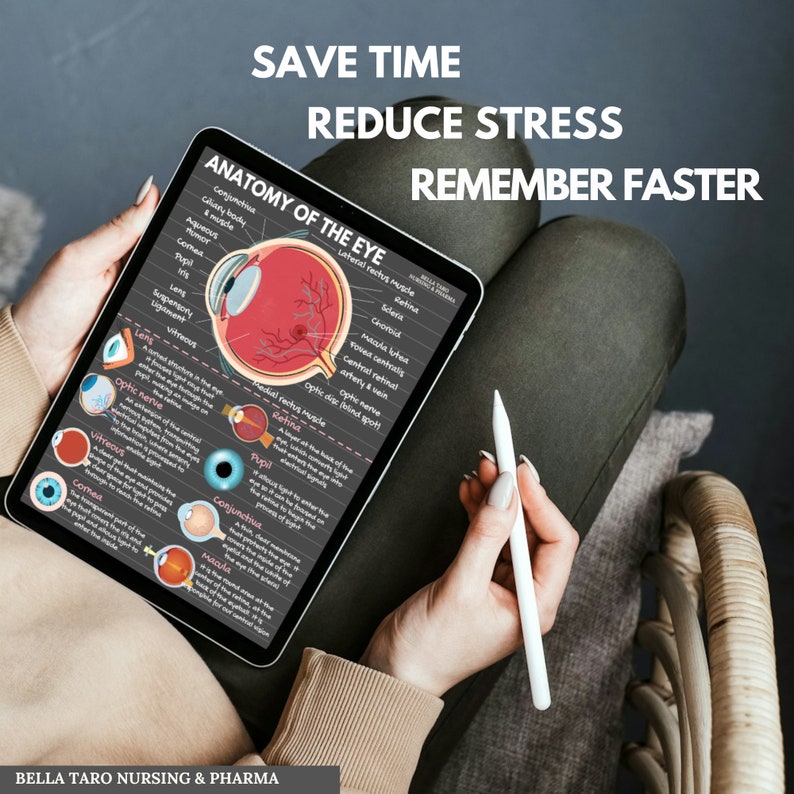 Anatomy of the Eye Study Note | Eye Anatomy Cheat Sheet | Biology ...