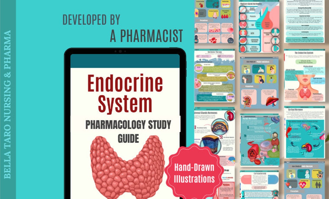 Endocrine System Bundle 50 Page | Pharmacy Nursing Study Guide ...