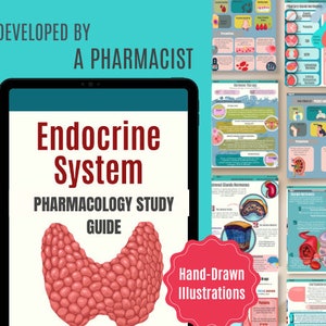 Endocrine System Bundle 50 Page | Pharmacy Nursing Study Guide ...