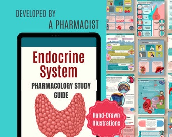 Endocrine Study Guide - Etsy