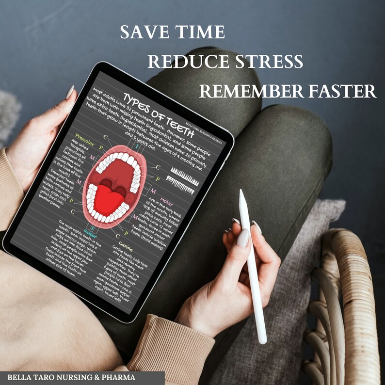 Anatomy of the Tooth Sheets | Dental Periodontal Chart | Dental Hygiene ...