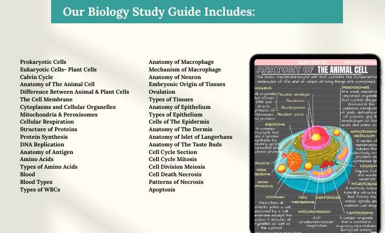 Cell Anatomy Flashcards: Eukaryotic & Prokaryotic Cells | Cell ...