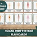Human Body Systems Flash Cards, Human Anatomy Cards, Biology Science ...