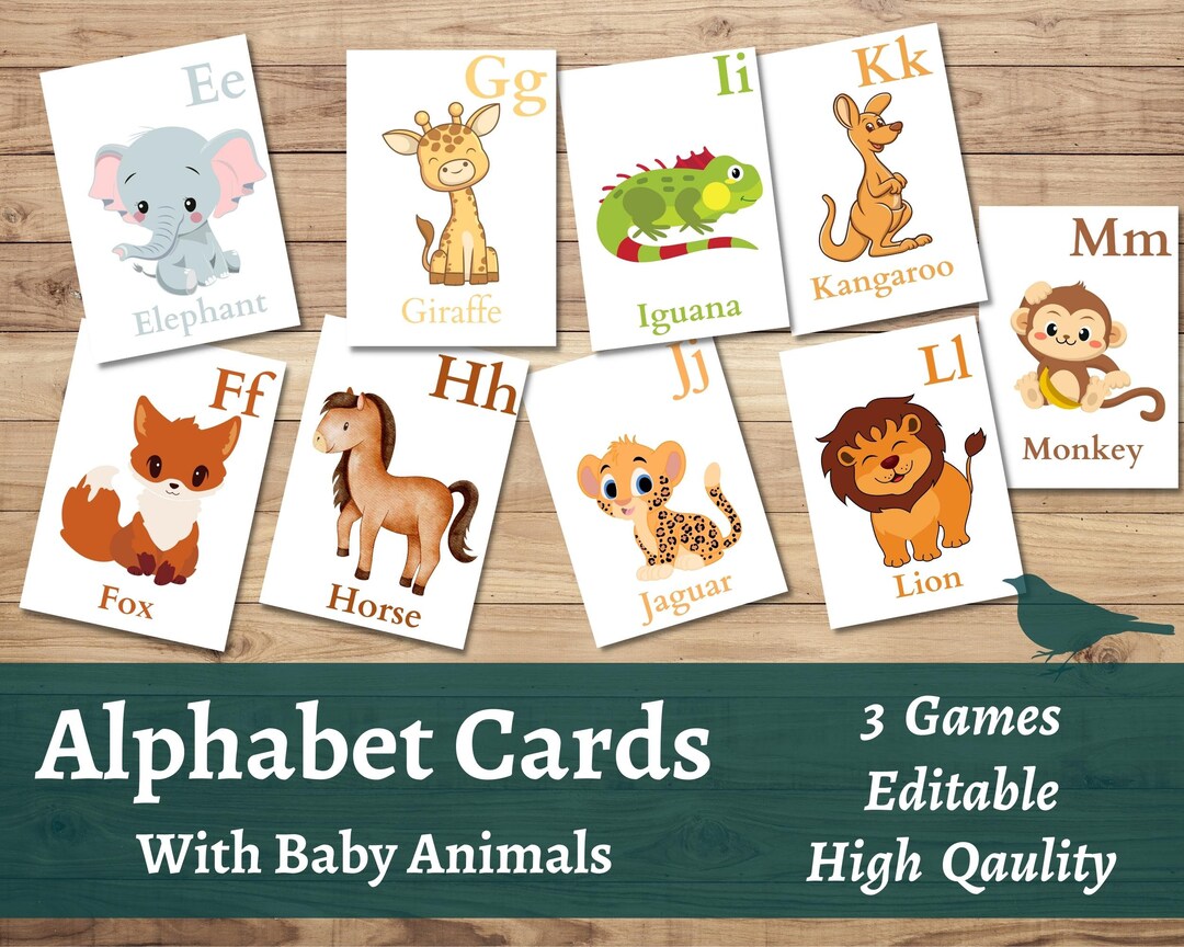 Alphabet Flash Cards, ABC, Communication Cards, Preschool Curriculum ...