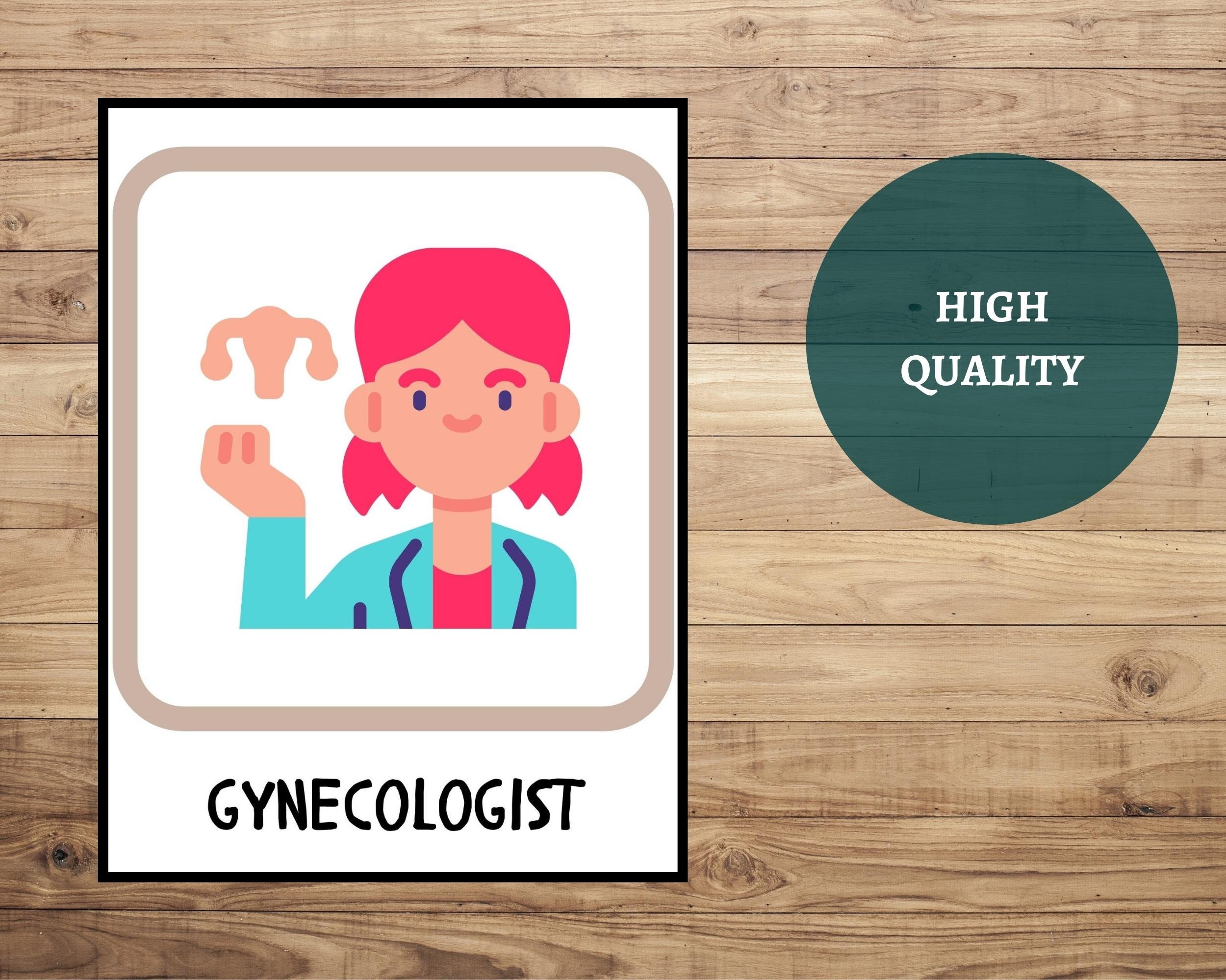 Female Reproductive System Flashcards, Female Human Anatomy Busy Book ...