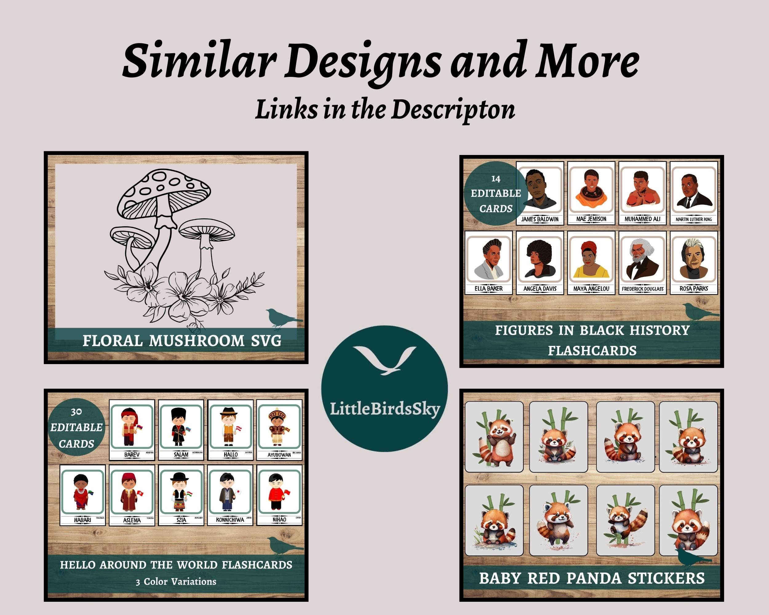 Inclusion Equality Flash Cards, Everyone is Welcome, Down Syndrome ...