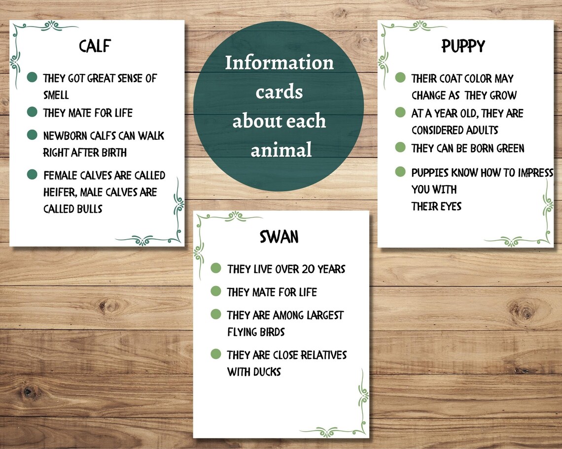 Farm Animals Flash Cards, Pet Flash Cards, Editable Printable Cards ...