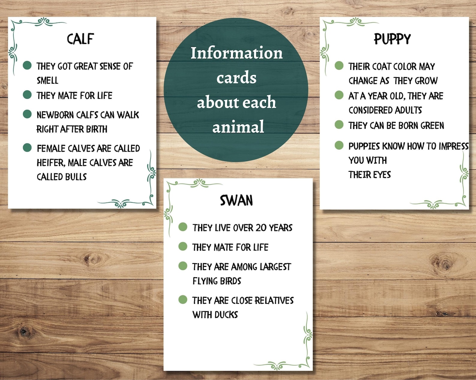 Farm Animals Flash Cards, Pet Flash Cards, Editable Printable Cards ...