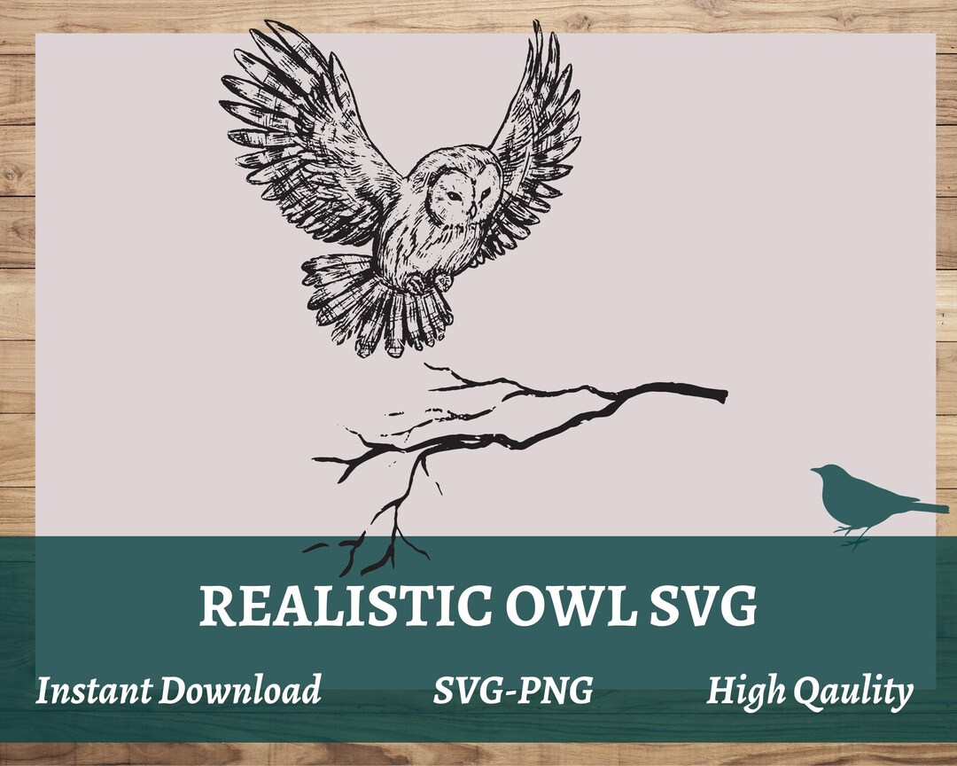 Realistic Owl in Flight Svg, Cute Owl Svg Png Circuit Clipart Cut File ...