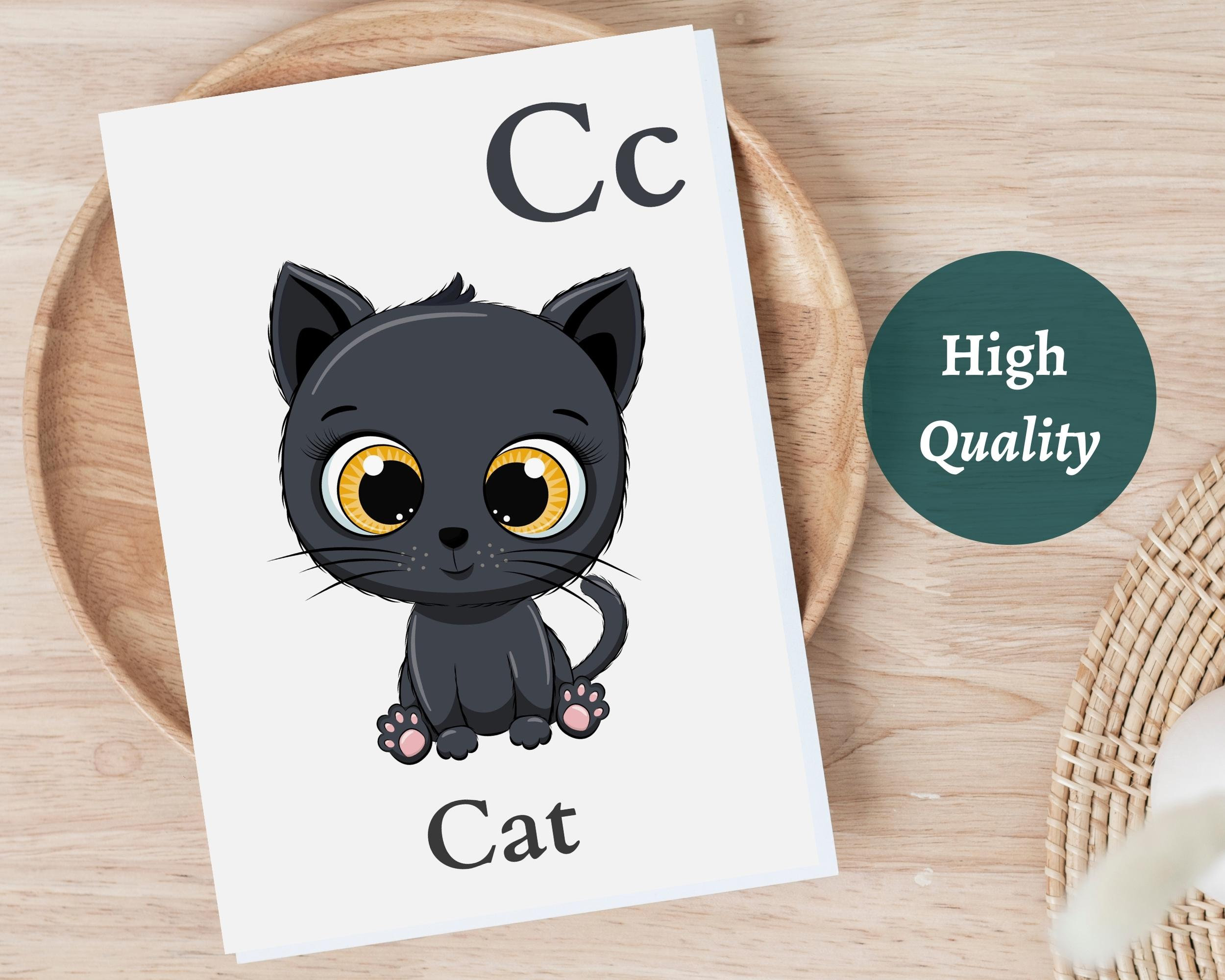 Alphabet Flash Cards, ABC, Communication Cards, Preschool Curriculum ...